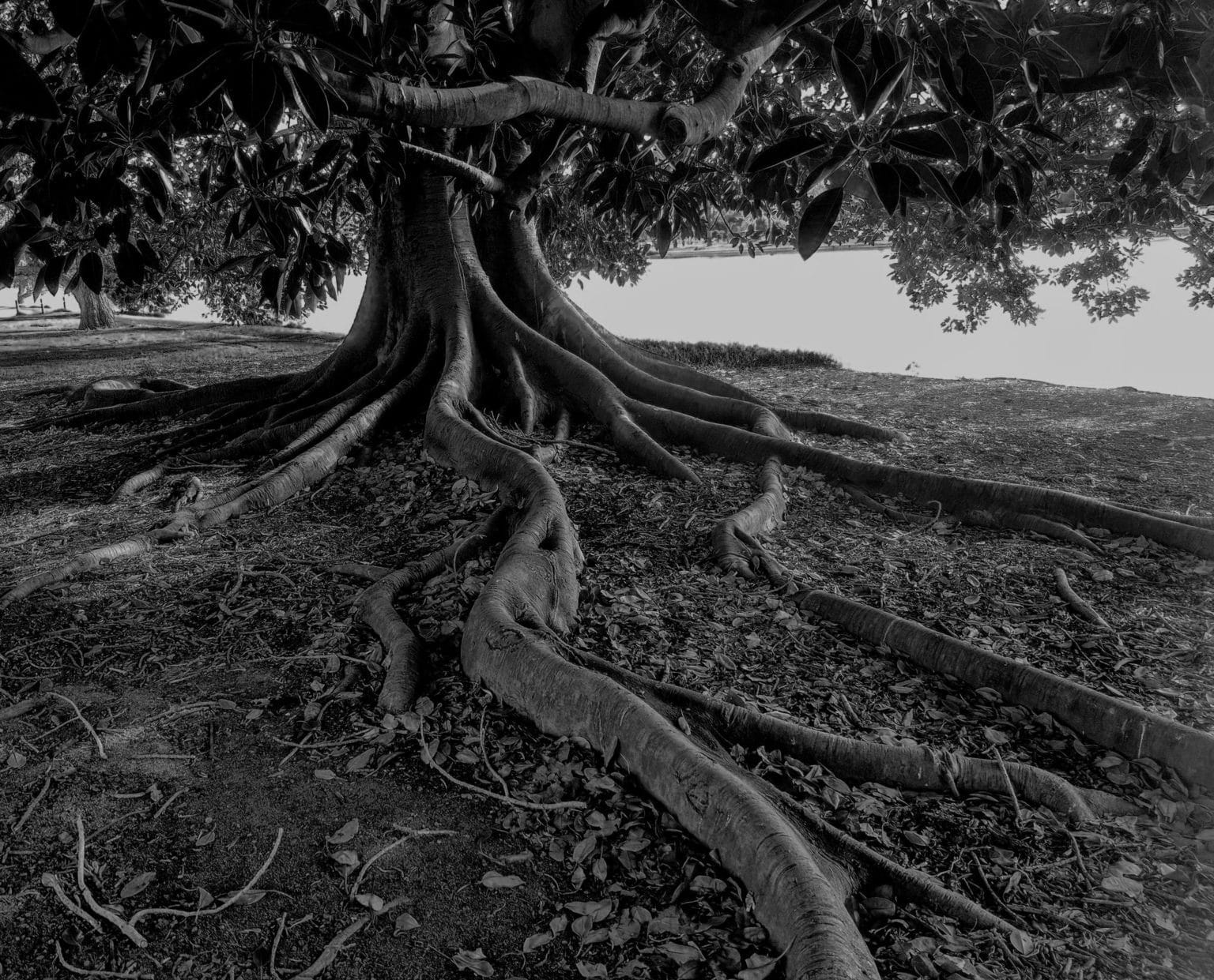 How to Perform Root Cause Analysis (RCA)? | Reliability